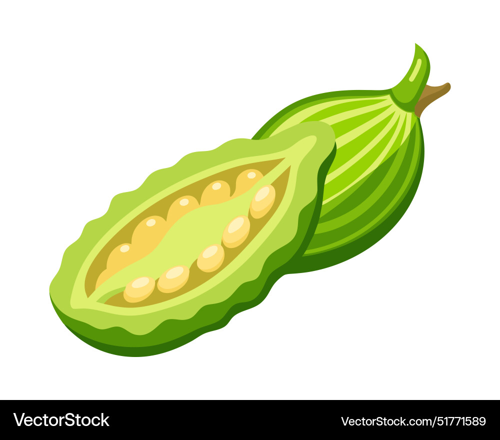 Luffa vegetables flat on white background Vector Image