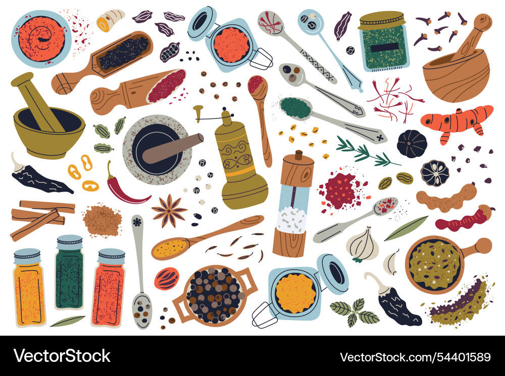 Set of spices herbs Royalty Free Vector Image - VectorStock