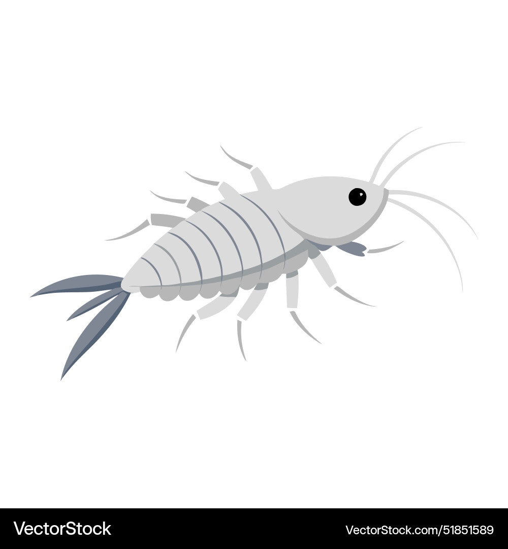 White silverfish insect flat on background Vector Image