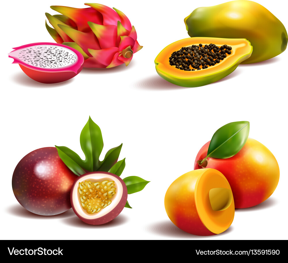 Mature tropical fruits set Royalty Free Vector Image