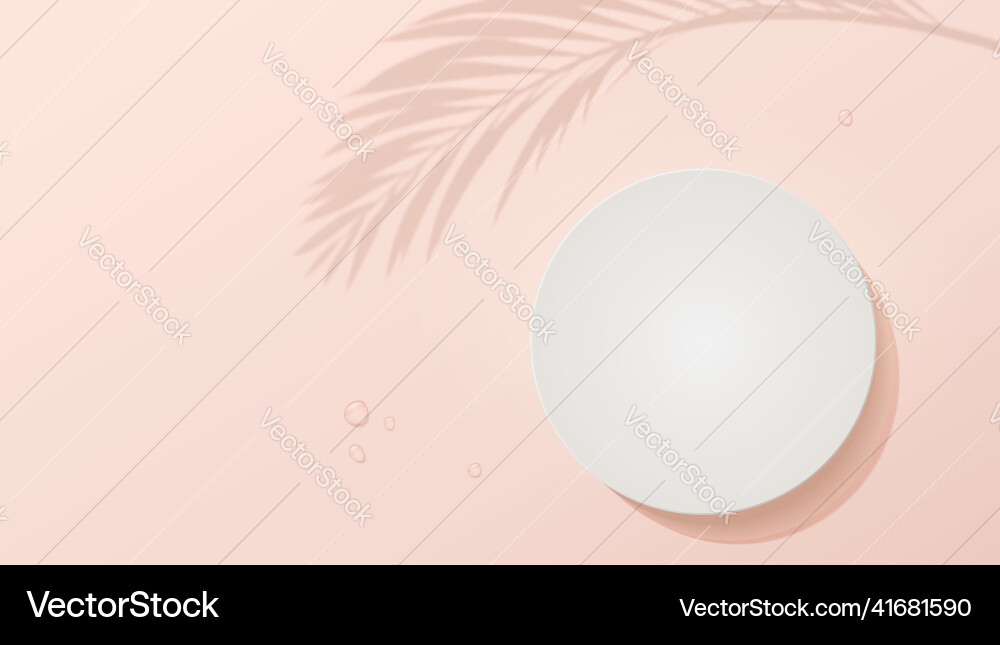 Top down view to white podium in product studio Vector Image