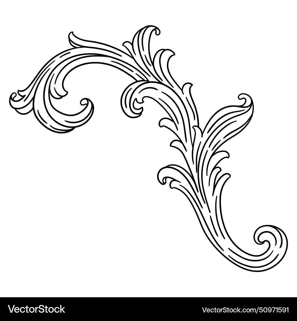 Floral element in baroque style decorative Vector Image