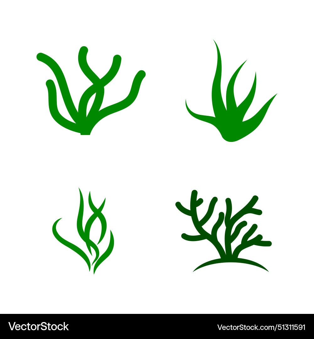 Seaweed icon logo Royalty Free Vector Image - VectorStock