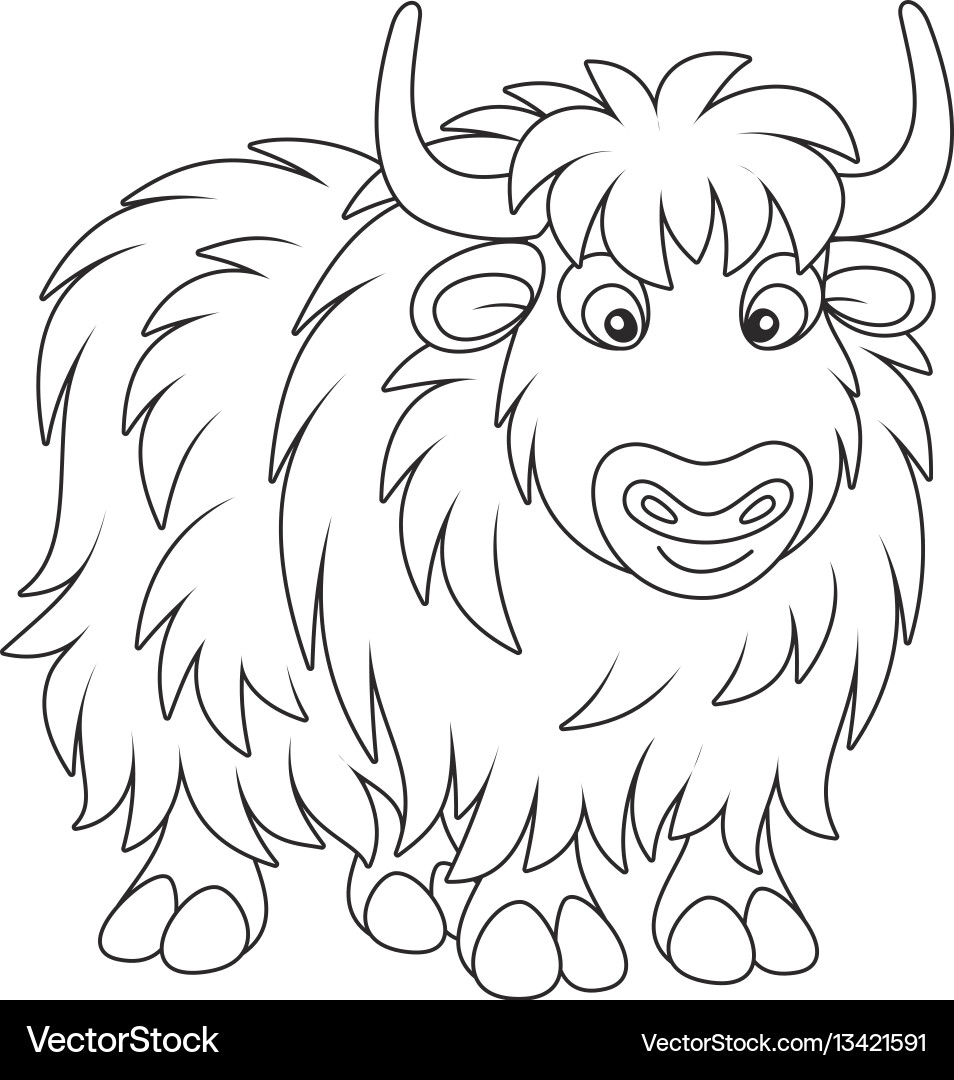 Yak Royalty Free Vector Image - VectorStock