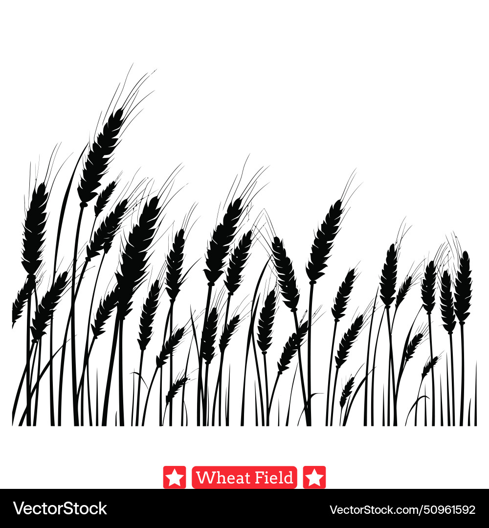 Rural reflections tranquil wheat field graphics Vector Image