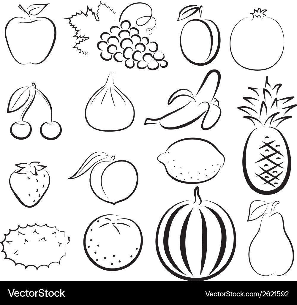 Sketch of different fruits Royalty Free Vector Image