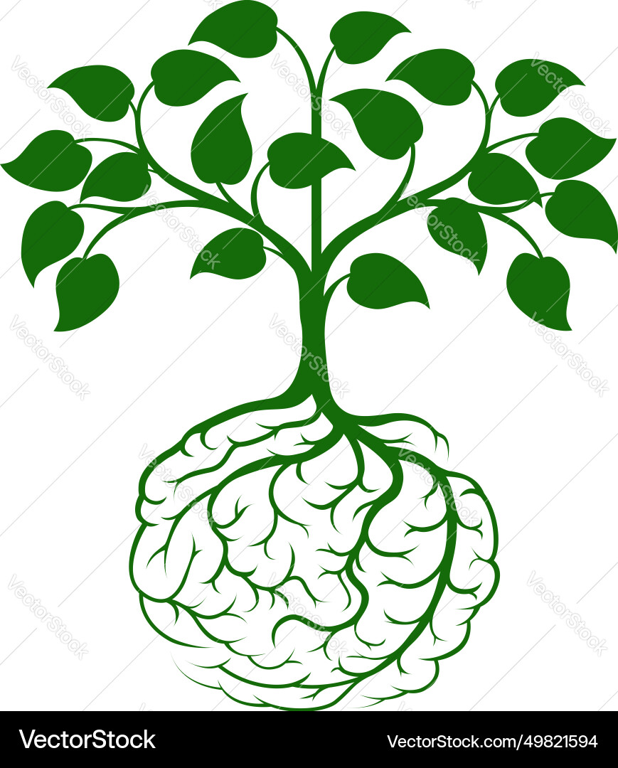 Brain root tree Royalty Free Vector Image - VectorStock