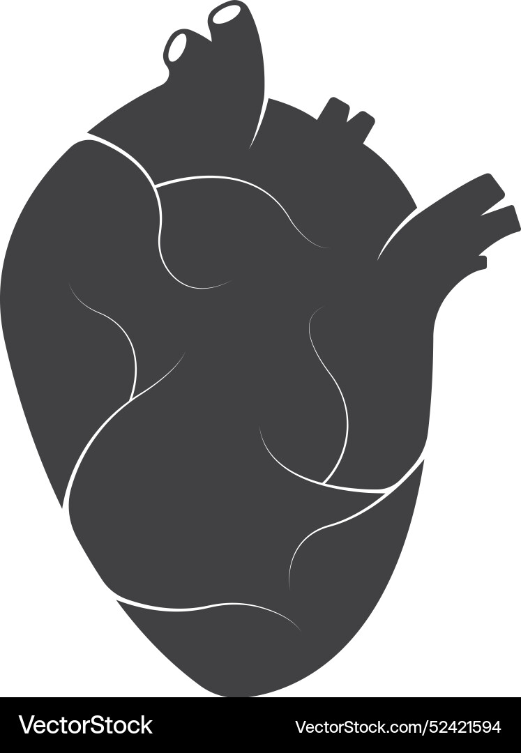 Human heart medical Royalty Free Vector Image - VectorStock