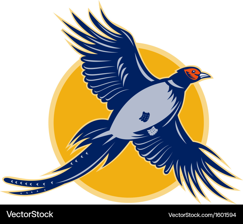 Pheasant bird flying Royalty Free Vector Image