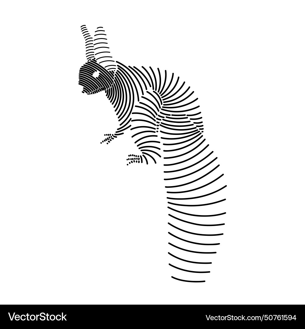 Simple line art of a squirrel 1 Royalty Free Vector Image