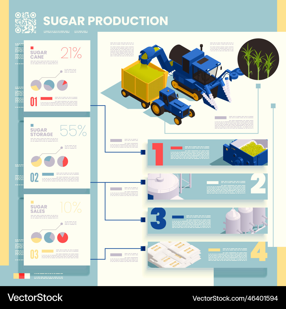 Sugar production infographics Royalty Free Vector Image