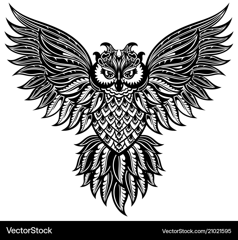 Owl Royalty Free Vector Image - VectorStock