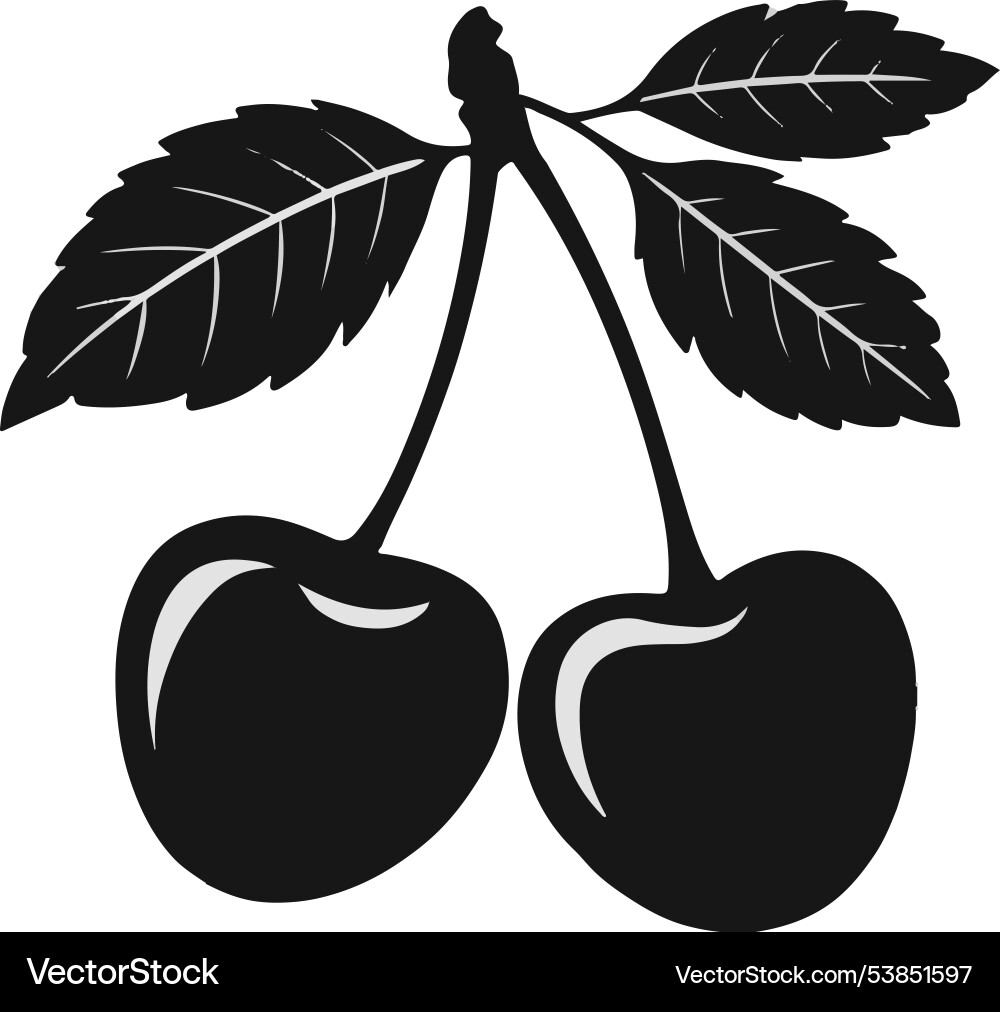 A silhouette of two cherries Royalty Free Vector Image