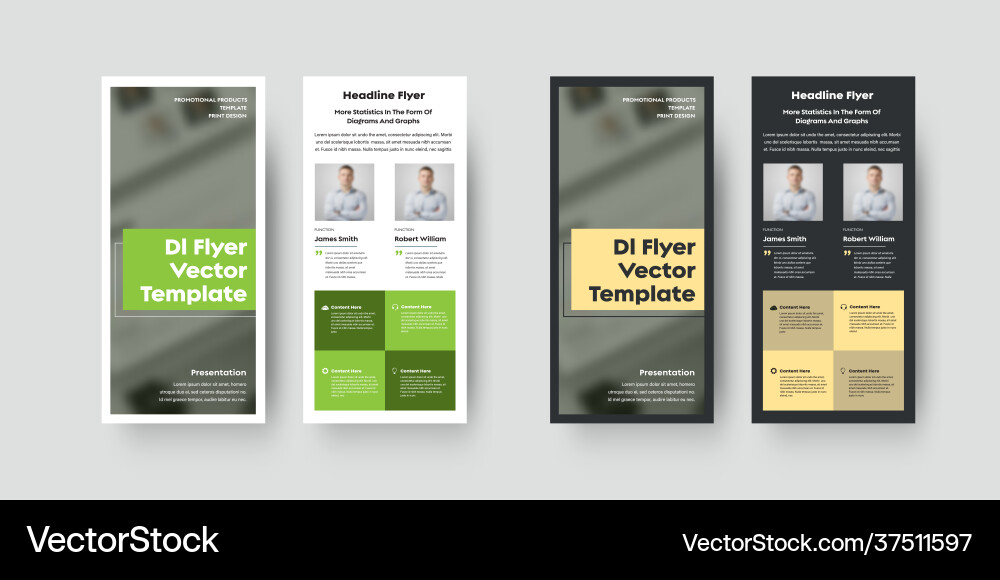 Dl flyer template with color geometric design Vector Image