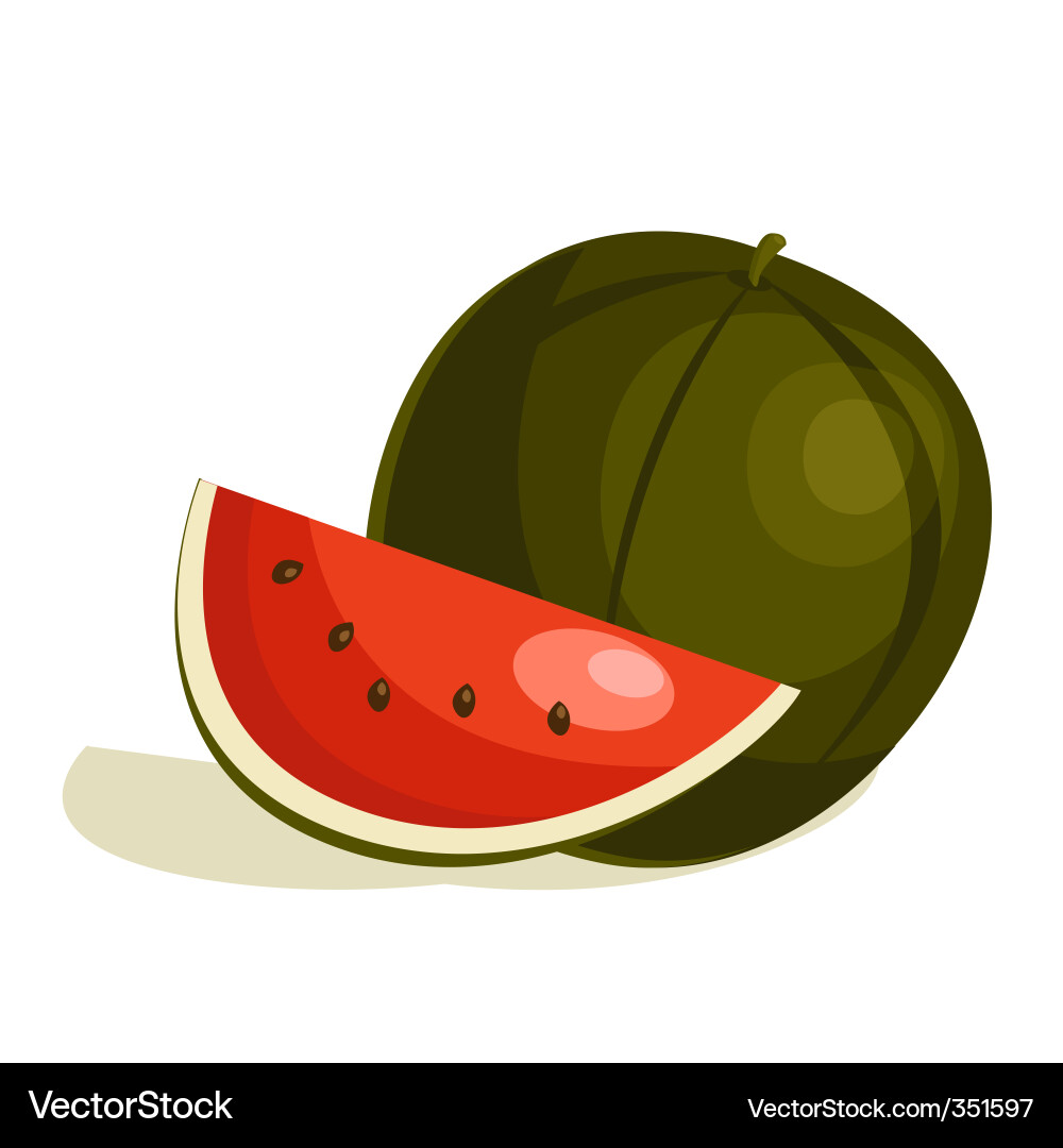 Watermelon Royalty Free Vector Image - VectorStock