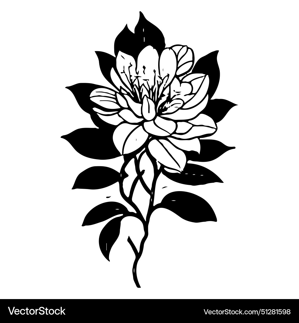 Azalea flower sketch Royalty Free Vector Image