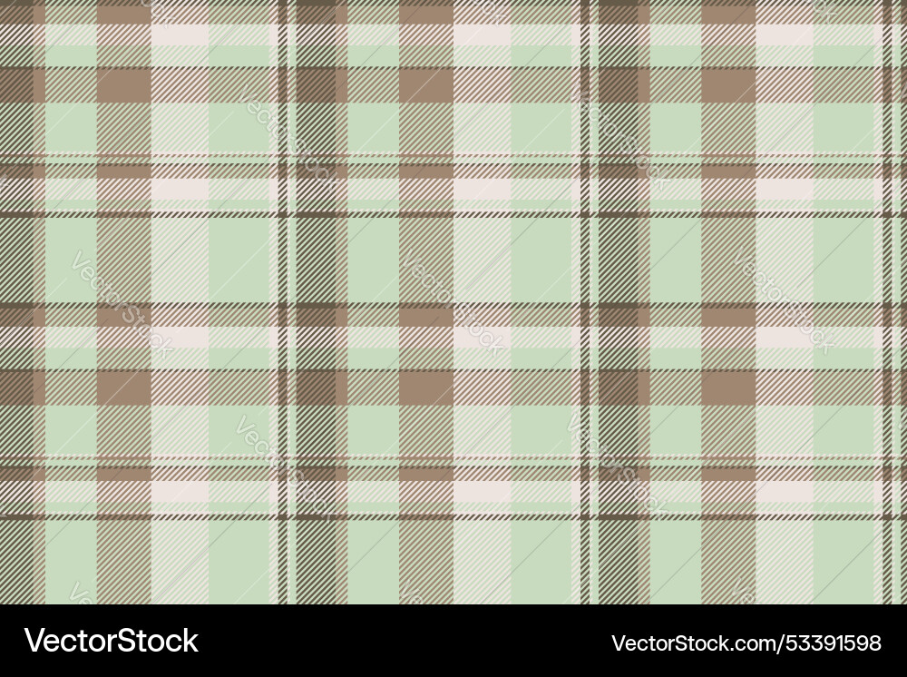Flow fabric pattern background victorian check Vector Image