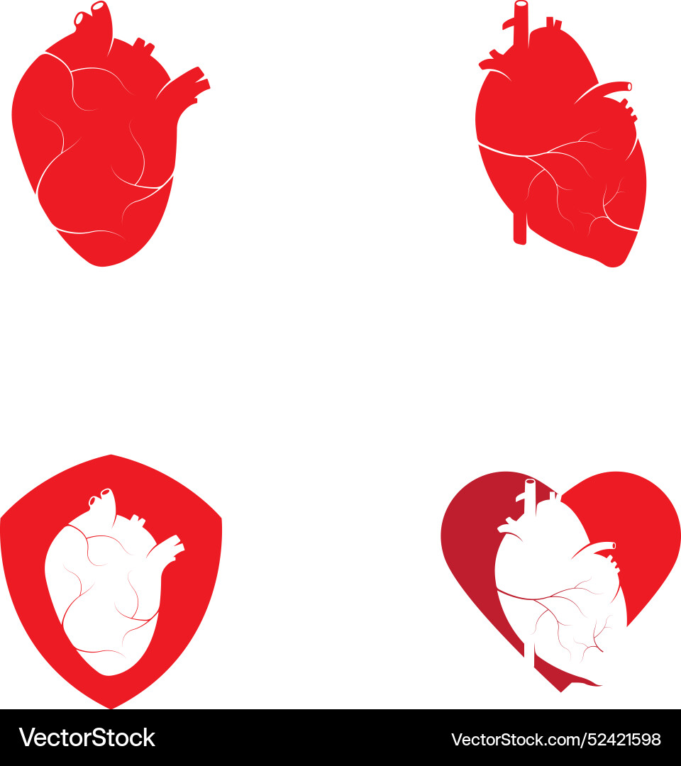 Human heart medical Royalty Free Vector Image - VectorStock