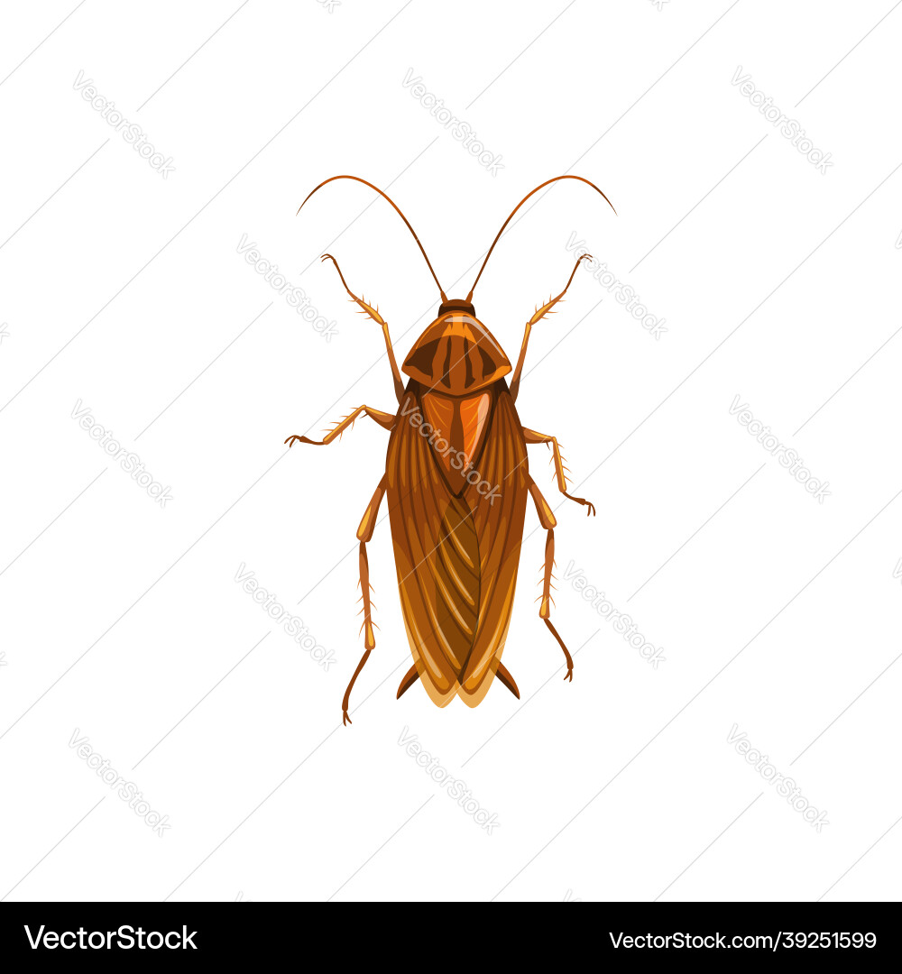 Cockroach icon insect parasite and pest control Vector Image