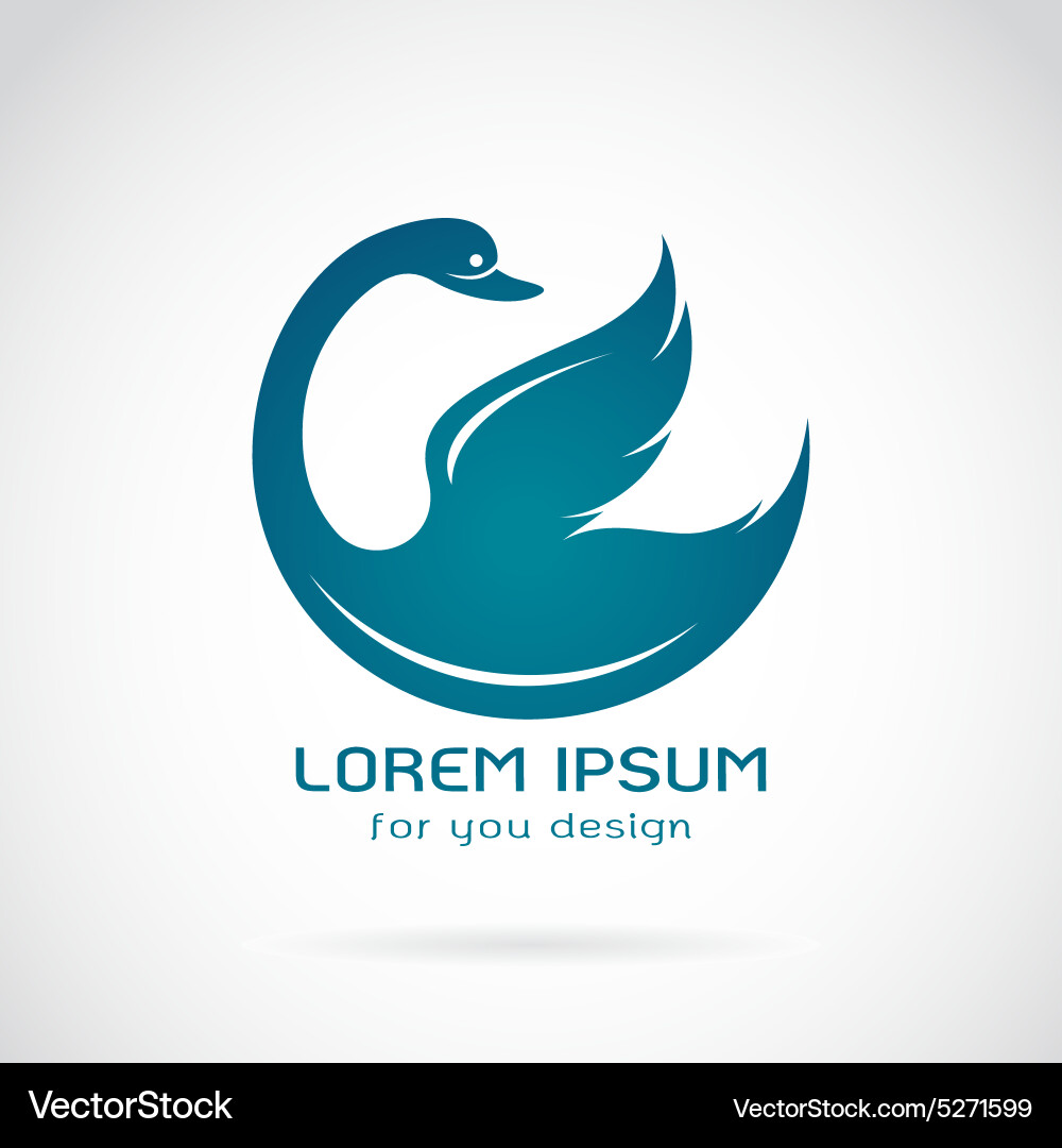 Elegant Swan Motif Royalty Free Vector Image - VectorStock