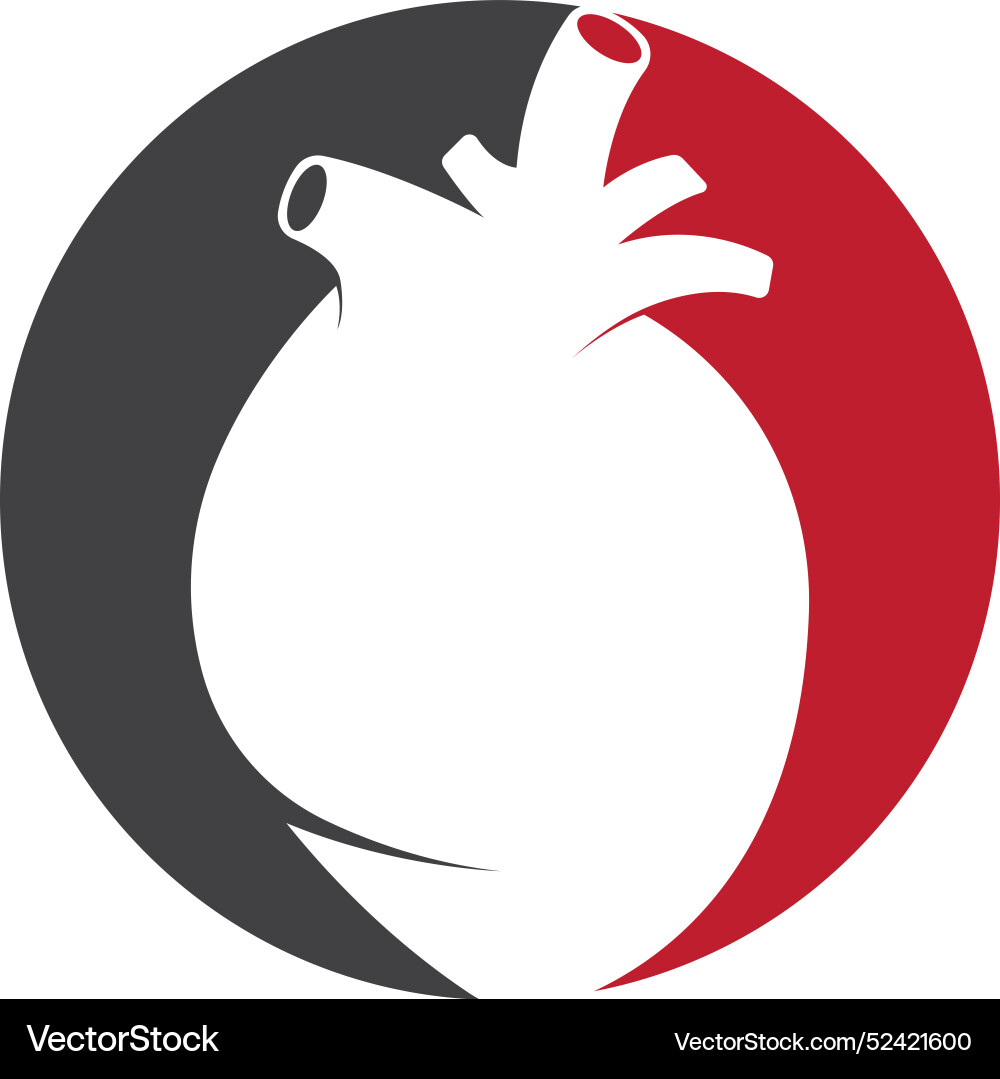 Human heart medical Royalty Free Vector Image - VectorStock