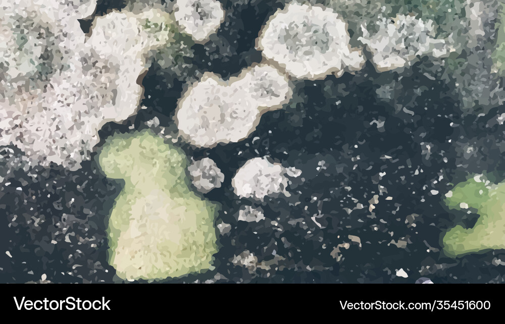 Image black mold on wall Royalty Free Vector Image