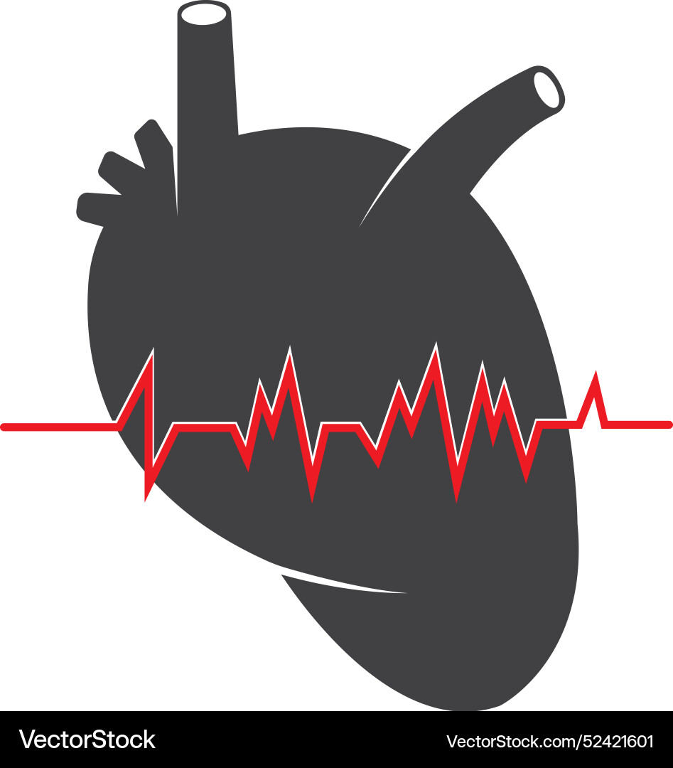 Human heart medical Royalty Free Vector Image - VectorStock