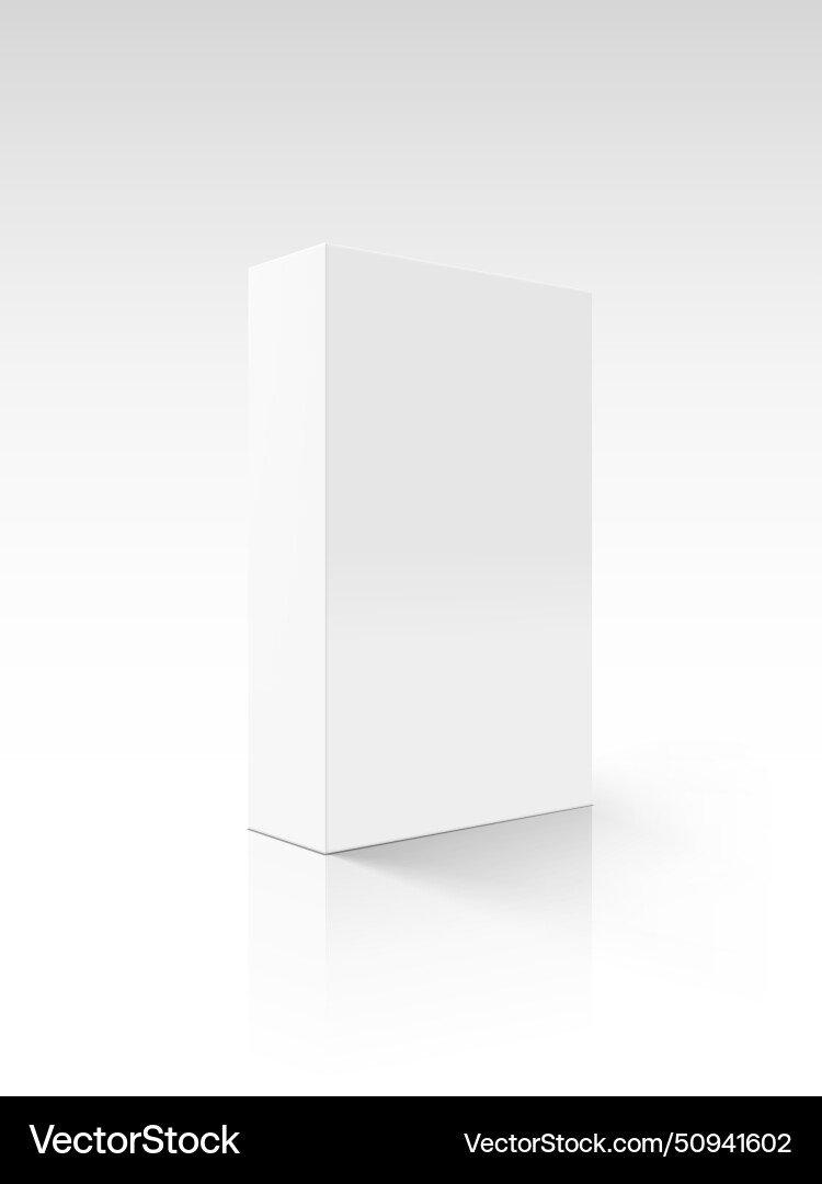 3d paper product box front view template Vector Image