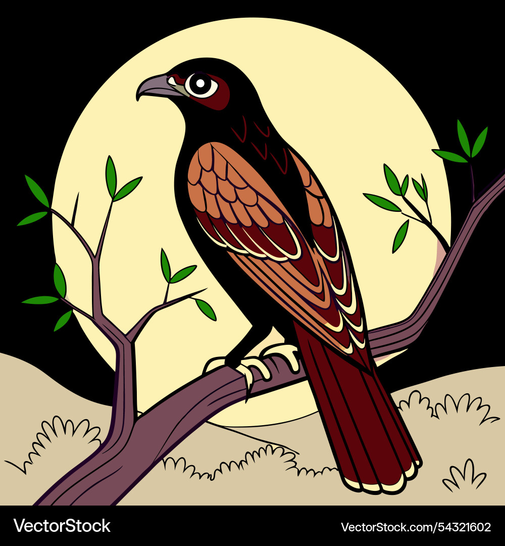 Vintage bird design Royalty Free Vector Image - VectorStock