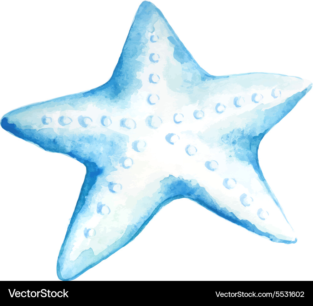 Watercolor seashell Royalty Free Vector Image - VectorStock