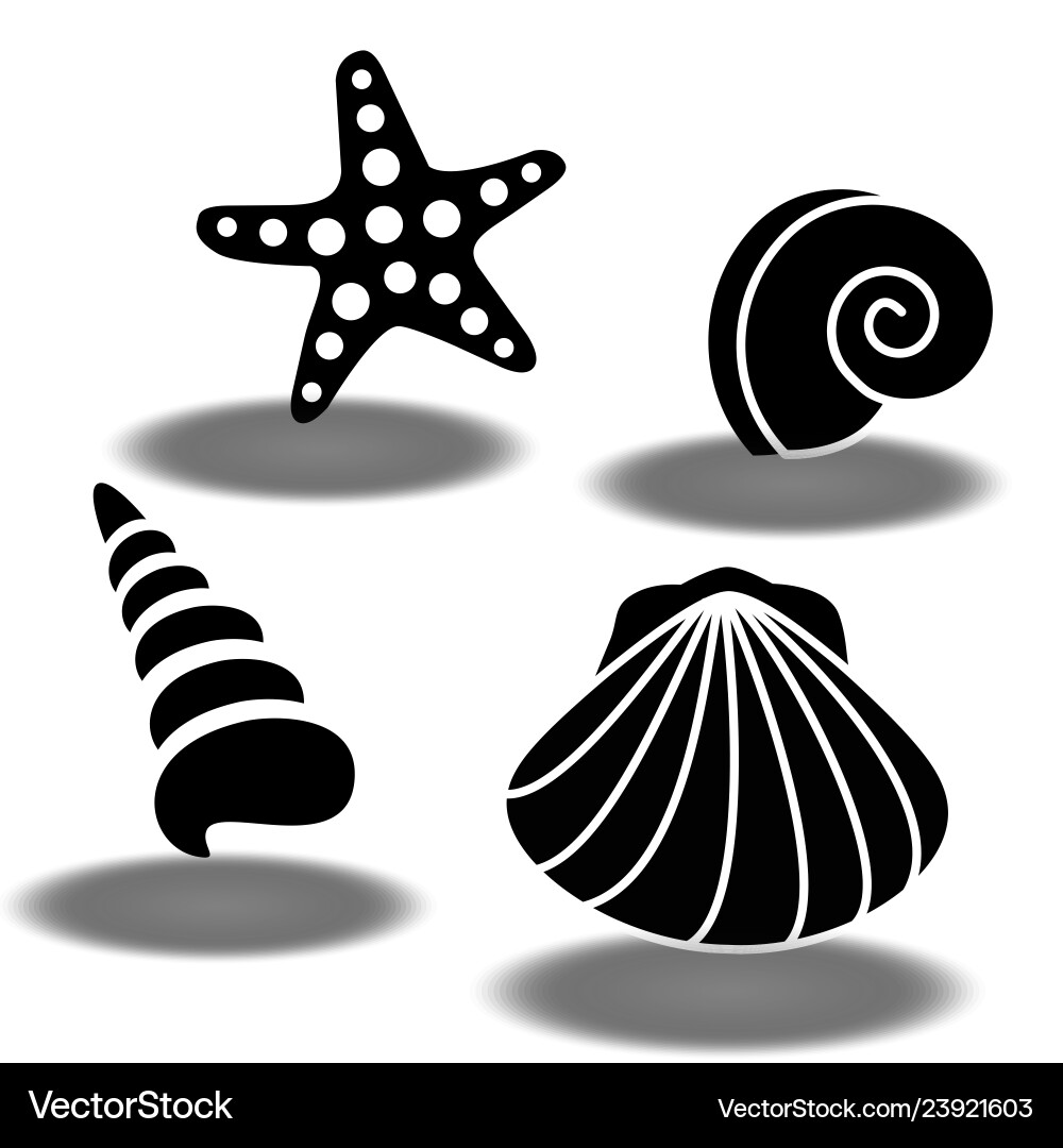 Black sea shells icon set collection of seashell Vector Image