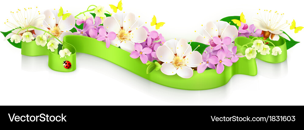 Spring flowers and ribbon Royalty Free Vector Image
