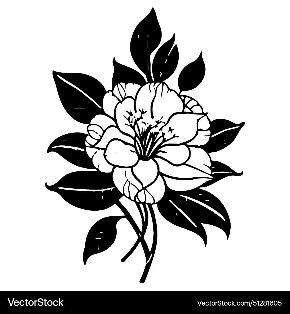 Azalea flower sketch Royalty Free Vector Image