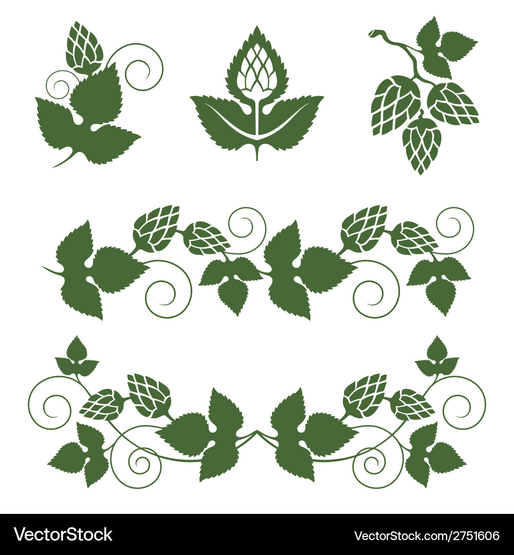 Hop borders and design elements Royalty Free Vector Image