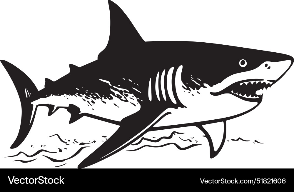 Shark - black and white isolated icon Royalty Free Vector