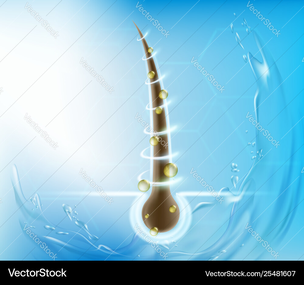 Hair care split ends treatment roots Royalty Free Vector