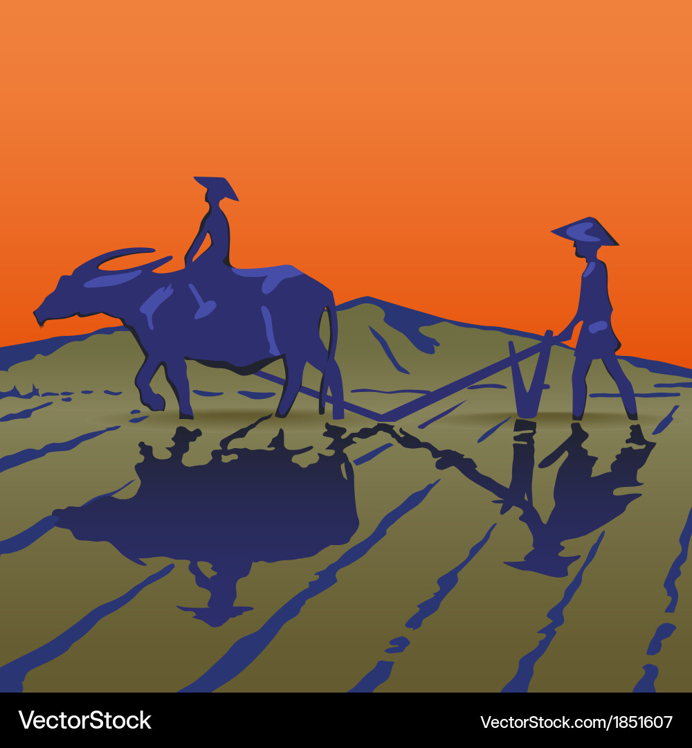 Vietnam Rice Vector Images (over 1,300)