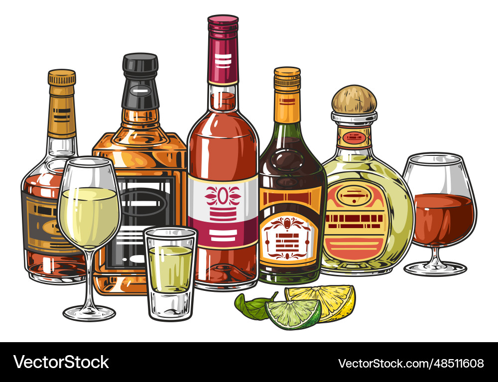 Alcohol from colorful label bar Royalty Free Vector Image