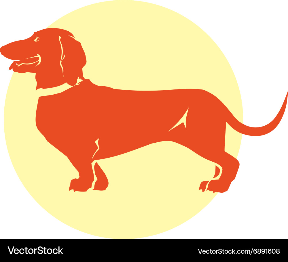 Dachshund dog Royalty Free Vector Image - VectorStock