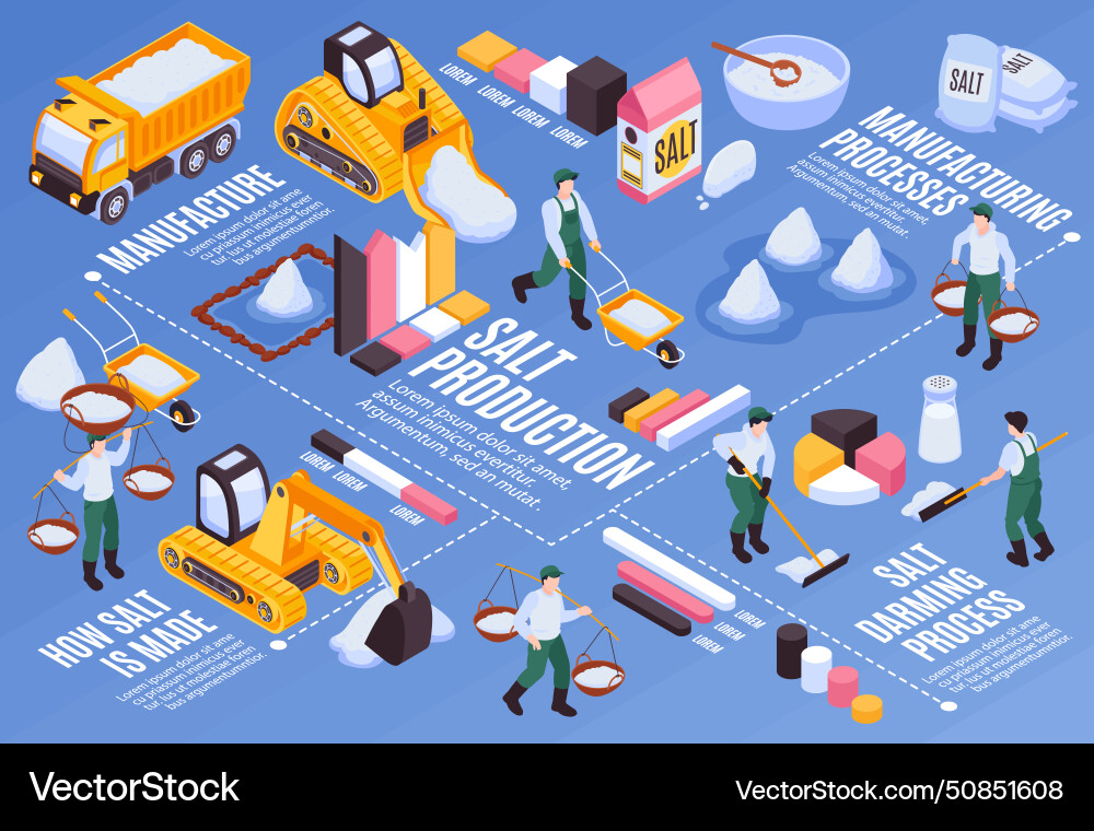 Salt production flowchart Royalty Free Vector Image
