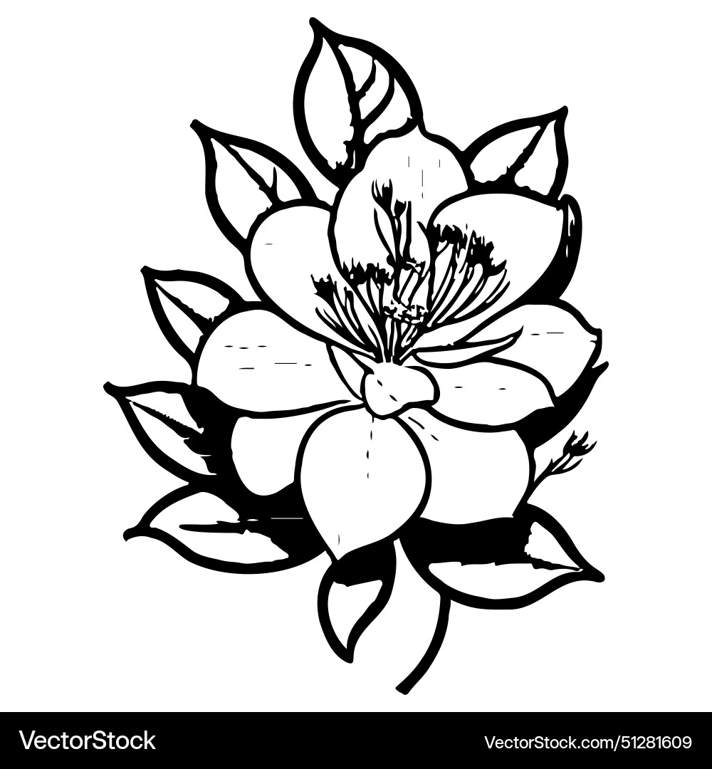 Azalea flower sketch Royalty Free Vector Image