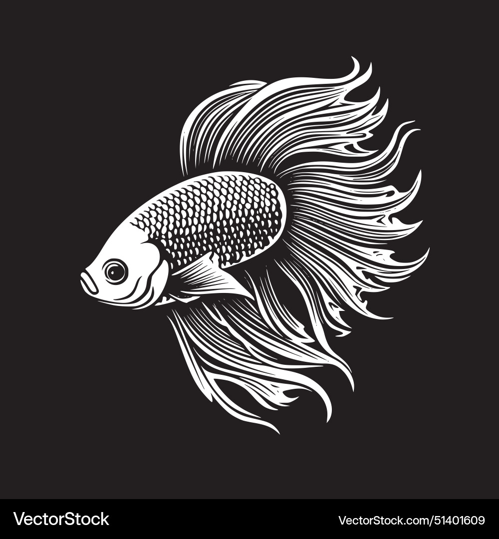 Betta fish - high quality logo ideal Royalty Free Vector