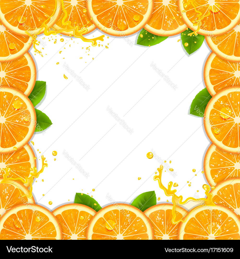 Frame of fresh oranges Royalty Free Vector Image