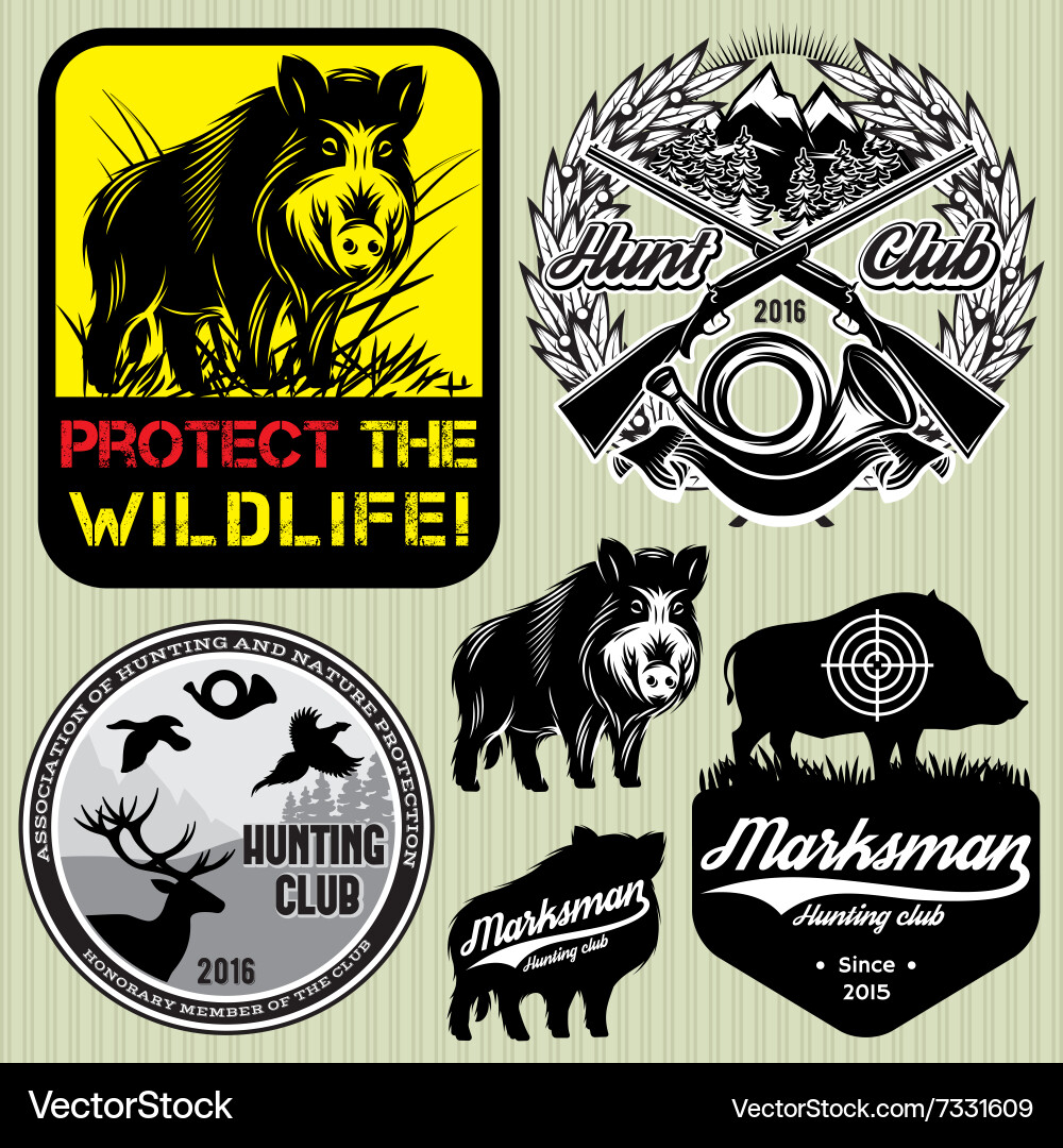 Set template with wild boar for hunting clu Vector Image