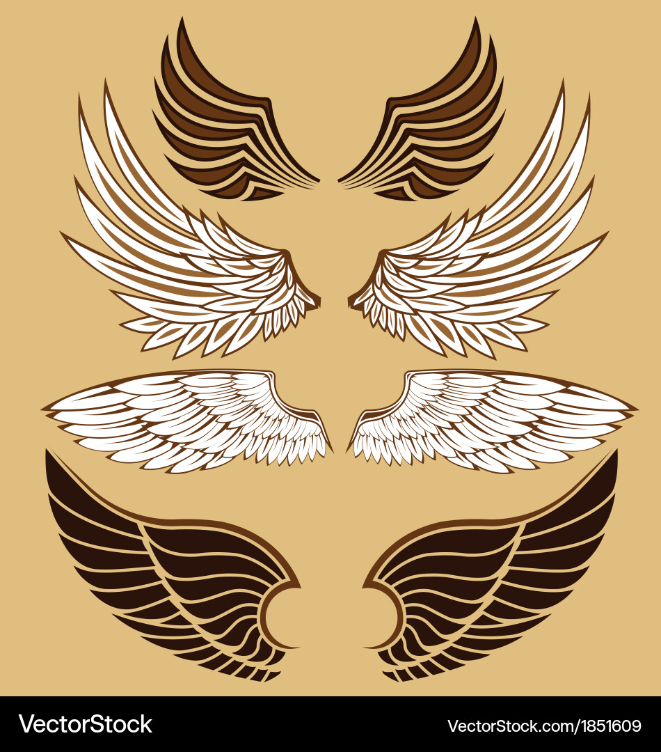 Stylized Wing Motif Royalty Free Vector Image - VectorStock