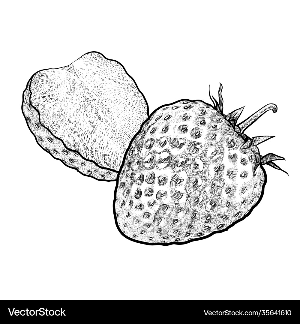 Line drawing strawberry one and a half Royalty Free Vector