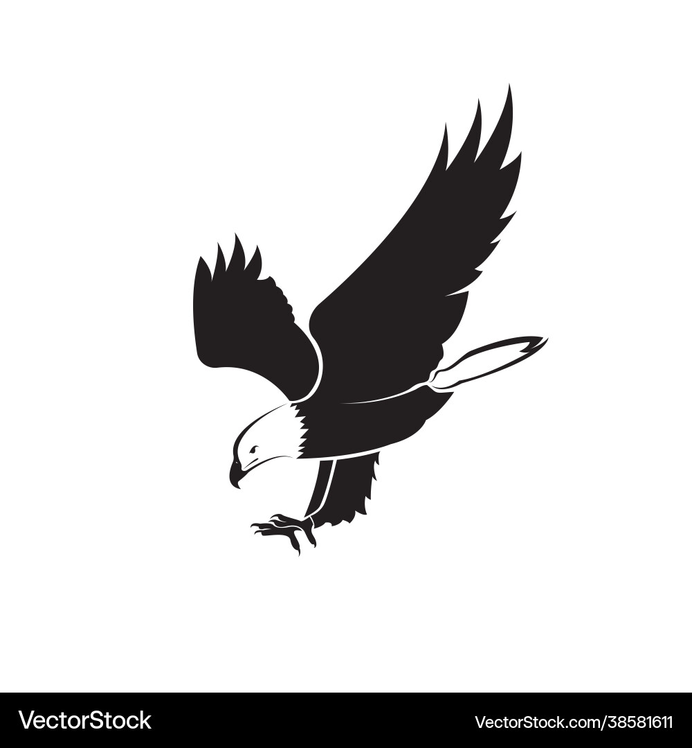 An eagle design on white background bird wild Vector Image