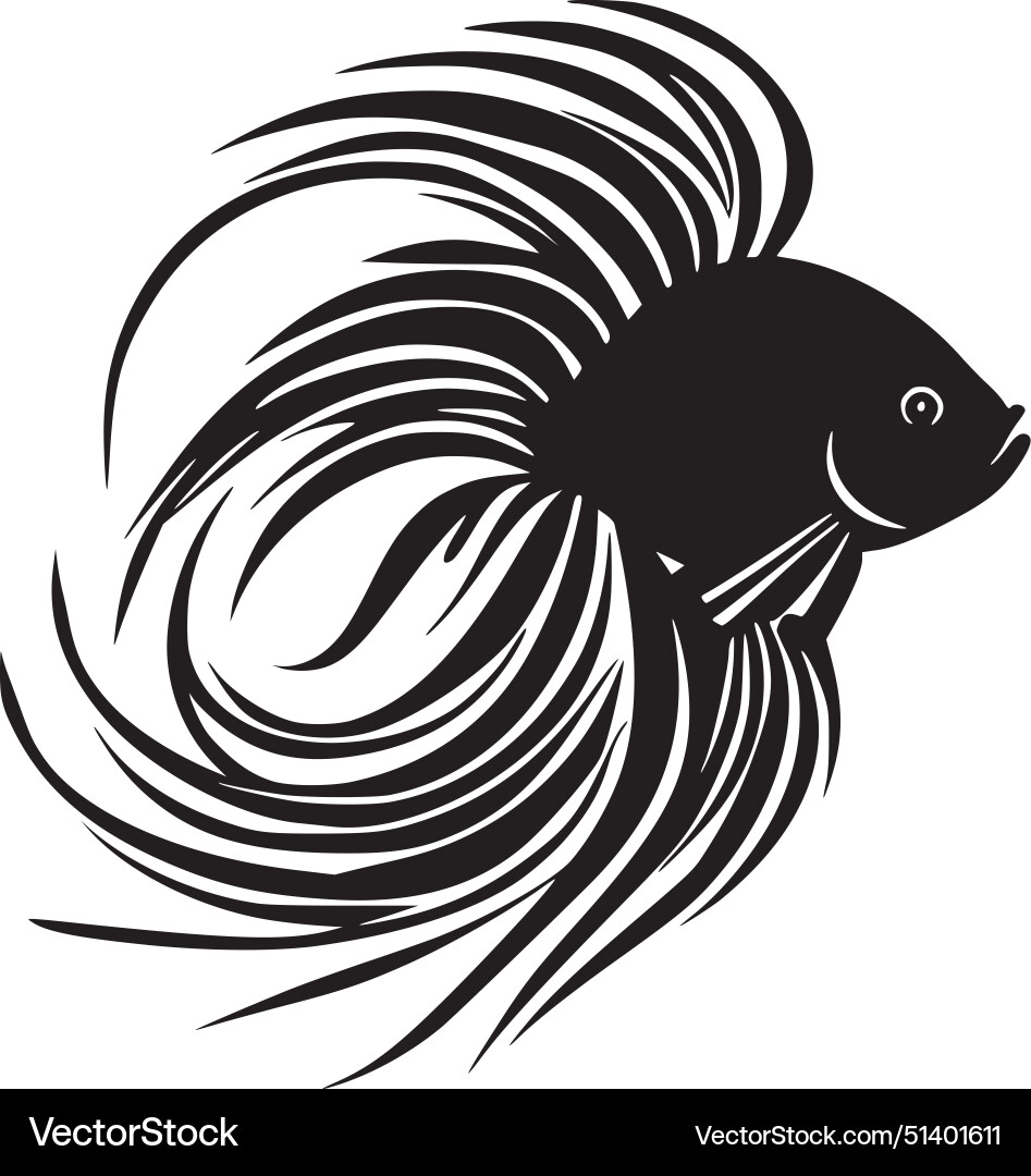 Betta fish - black and white isolated icon Vector Image