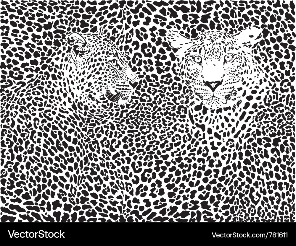 Leopard pattern background Royalty Free Vector Image