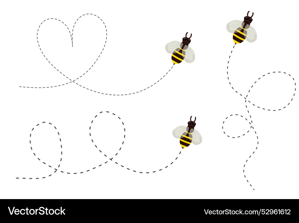 Bee flying doted path line way bumblebee fly Vector Image